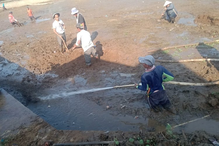 Situ Cijeruk Dibenahi Secara Swakarsa, Warga Desa Sukamekar Gotong ...
